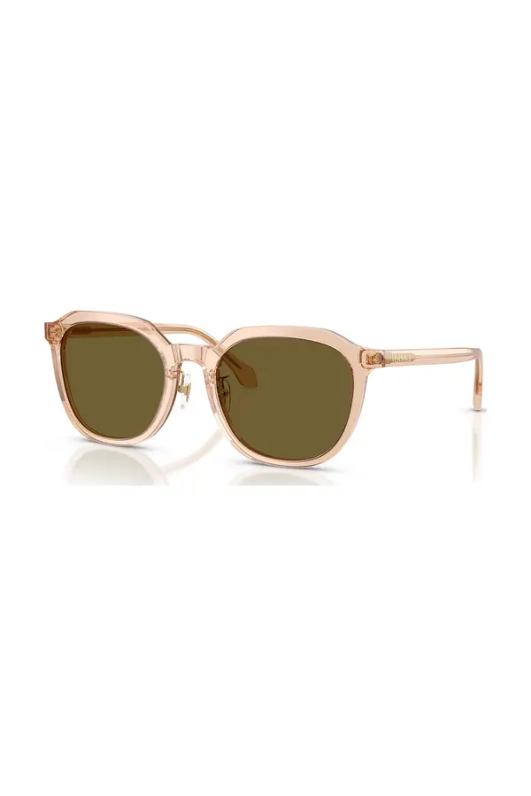 Versace Ve4493d Phantos Sunglasses Low Bridge Fit - Brown