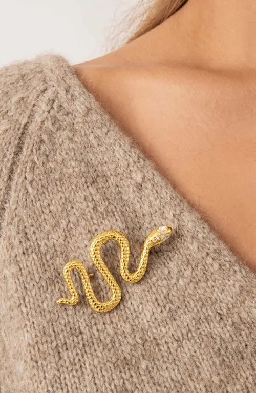Ettika Snake Brooch