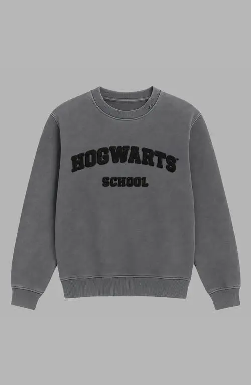BLVCK Harry Potter X Hogwarts School Sweater - Charcoal
