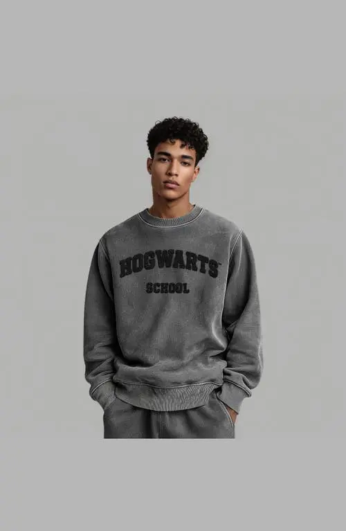 BLVCK Harry Potter X Hogwarts School Sweater - Charcoal