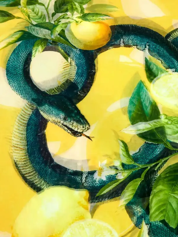 Roberto Cavalli Lemon-print Scarf