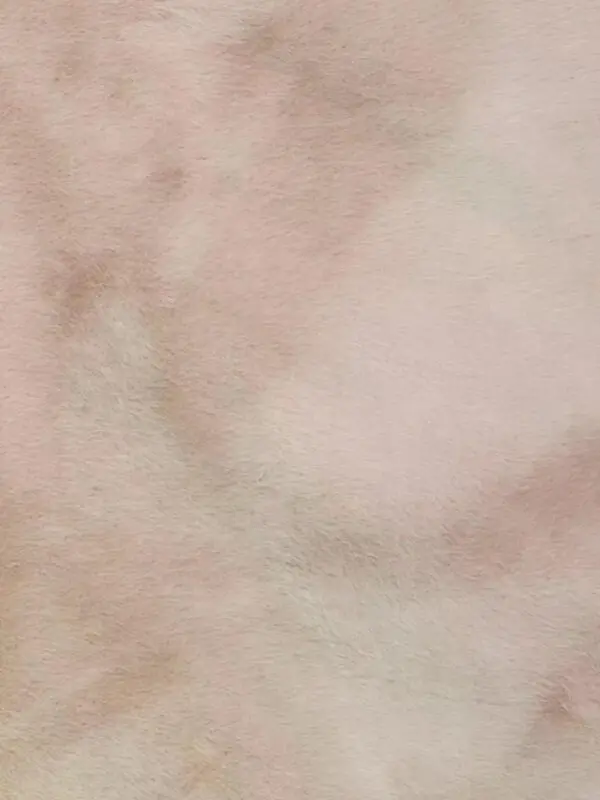 Herno Faux-fur Scarf