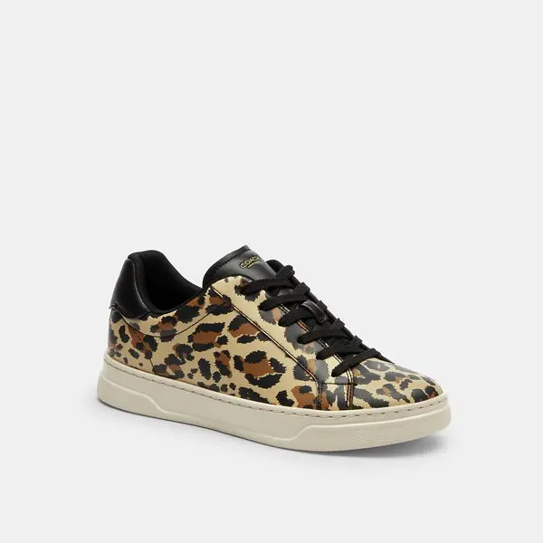 COACH OUTLET Coach High Line Leopard Print Leather Sneakers