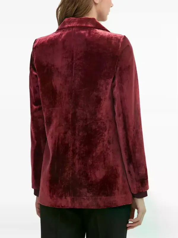 Sisley Velour Blazer