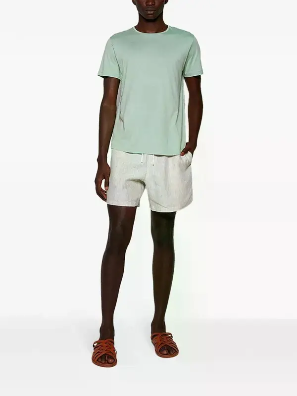 Loro Piana Jersey T-shirt - Green