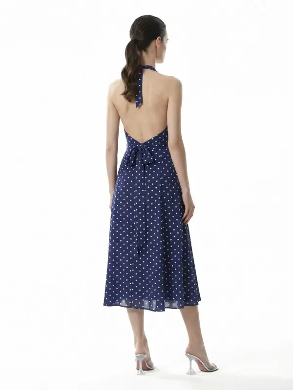P.a.r.o.s.h Polka Dot Maxi Dress