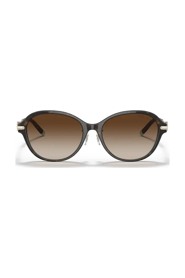 TIFFANY SUNGLASS HUT Tiffany & Co. Havana Oval Sunglasses