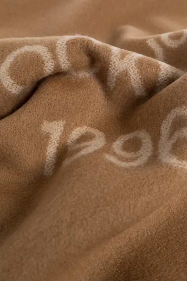 Acne Studios Scarf With Logo - Brown
