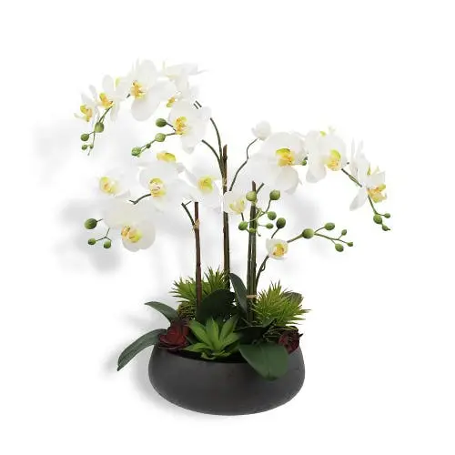 CG HUNTER Artificial Orchid With Succulents
