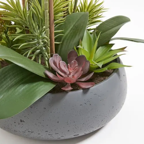 CG HUNTER Artificial Orchid With Succulents
