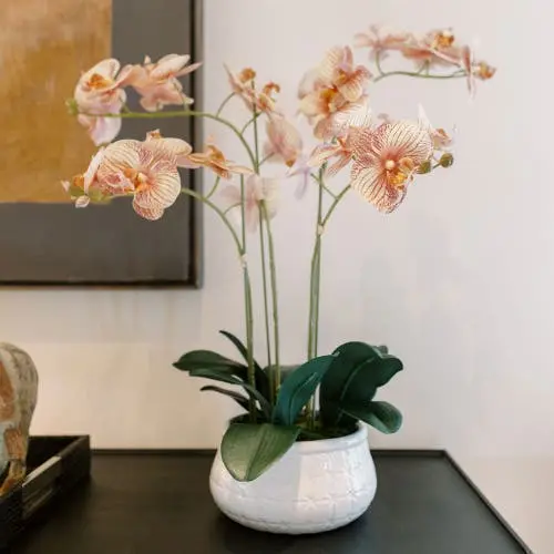 CG HUNTER Artificial 4-stem Phalaenopsis Orchid