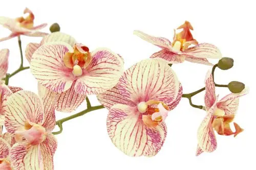 CG HUNTER Artificial 4-stem Phalaenopsis Orchid