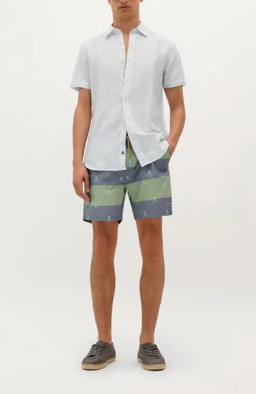 SCALPERS Striped Skull Swim Trunks - Greyish Blue