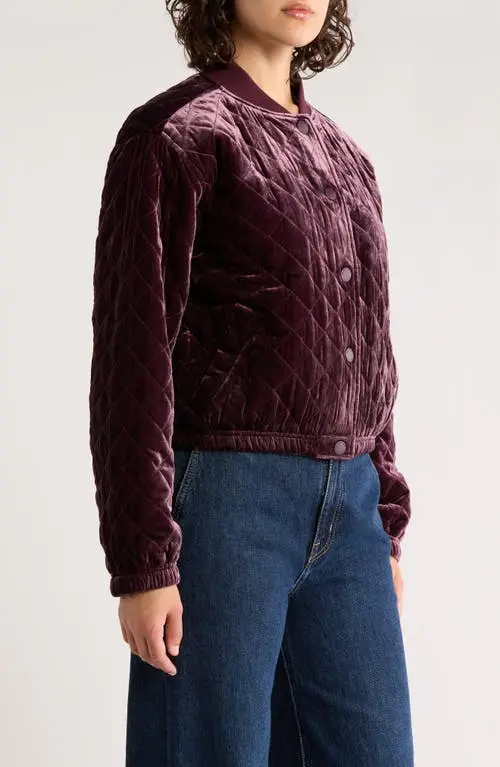 Marine Layer Anita Velvet Quilted Bomber Jacket
