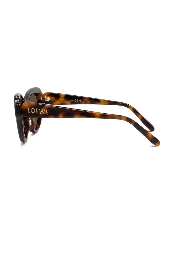 Loewe Cat Eye Sunglasses - Shiny Havana & Solid Brown