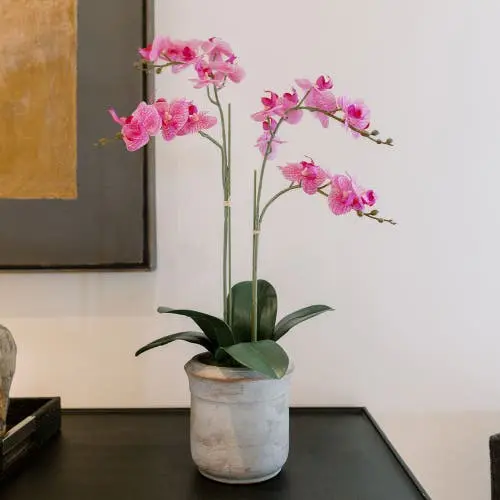 CG HUNTER Artificial 2-stem Phalaenopsis Pink Orchid