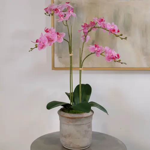 CG HUNTER Artificial 2-stem Phalaenopsis Pink Orchid