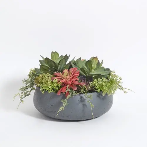 CG HUNTER Round Artificial Succulent Arrangement