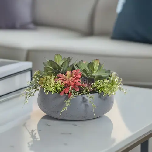 CG HUNTER Round Artificial Succulent Arrangement