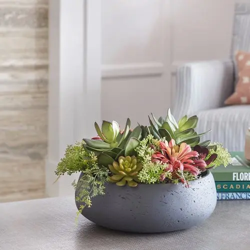 CG HUNTER Round Artificial Succulent Arrangement