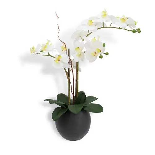 CG HUNTER Artificial White Double Stem Orchid