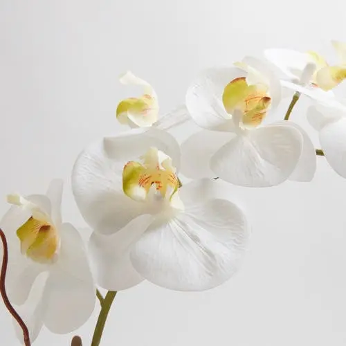 CG HUNTER Artificial White Double Stem Orchid