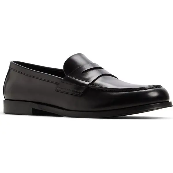 Aldo Keifer Penny Loafer