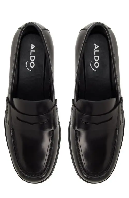 Aldo Keifer Penny Loafer