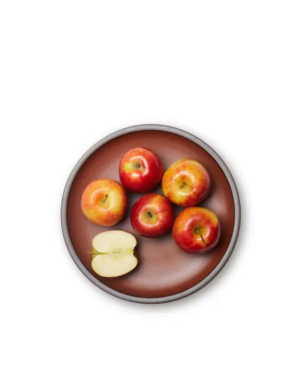 EAST FORK POTTERY East Fork Dinner Plate, Set Of 4 - Amaro