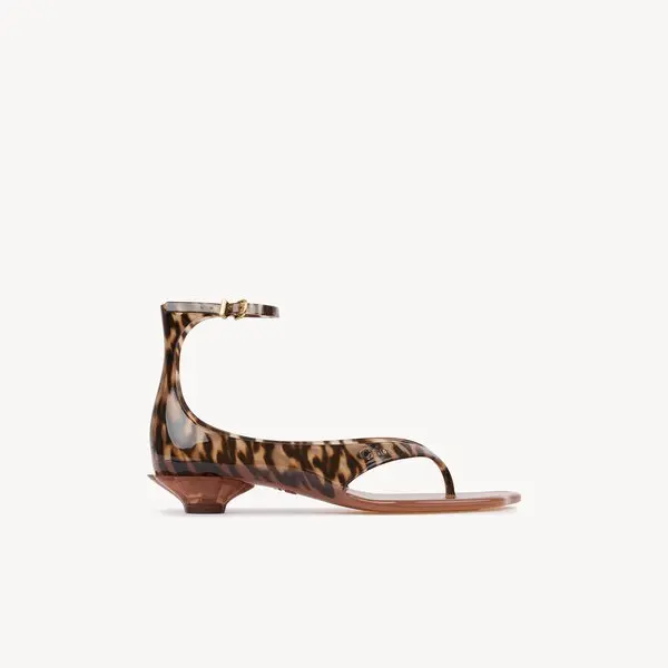 Chloé Heeled Jelly Sandals - Black Brown