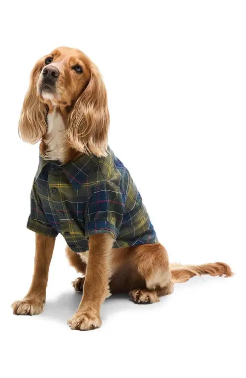 Barbour Tartan Fortrose Cotton Flannel Dog Shirt