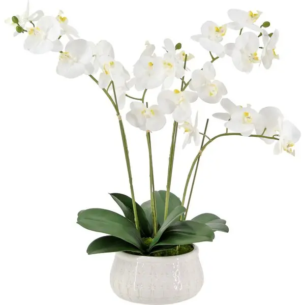 CG HUNTER Artificial 4-stem Phalaenopsis Orchid