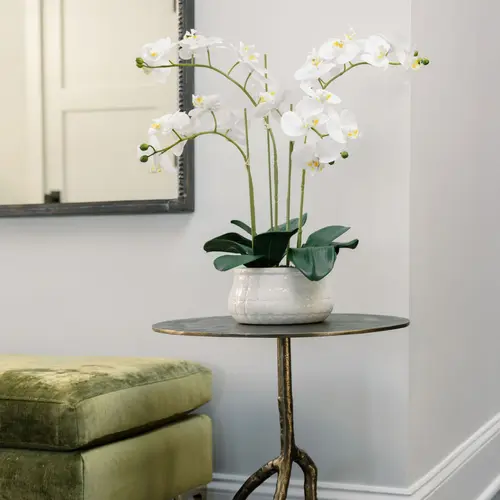 CG HUNTER Artificial 4-stem Phalaenopsis Orchid