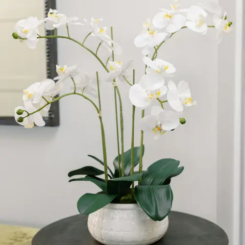 CG HUNTER Artificial 4-stem Phalaenopsis Orchid