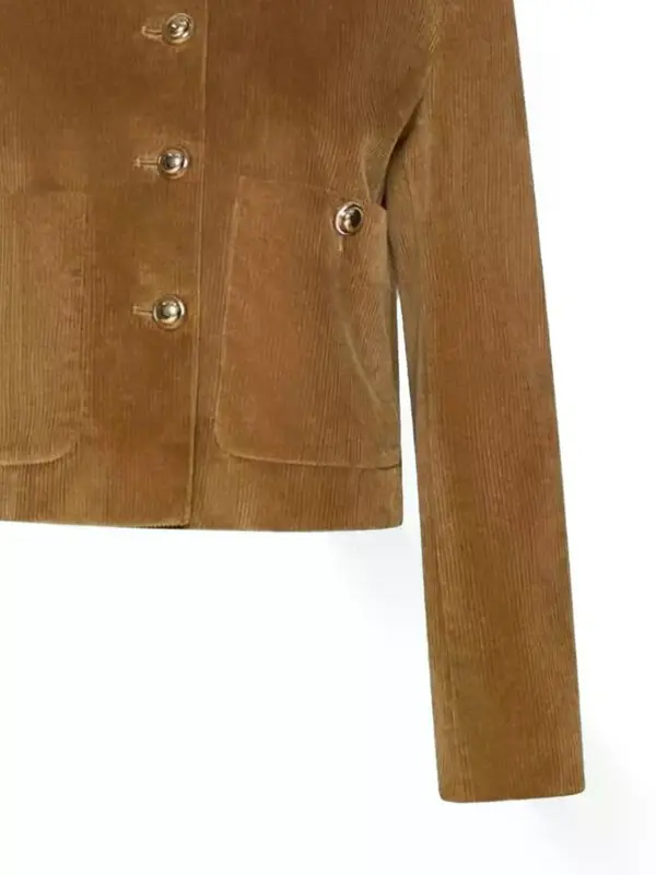 Marella Buttoned Corduroy Jacket - Brown