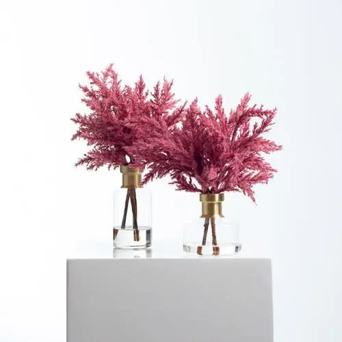 DARBY CREEK TRADING Mauve Pink Faux Pampas Grass Everyday Spring Fall Water Illusion Arrangement In Glass Bud Vase - Pink Set - Short & Tall