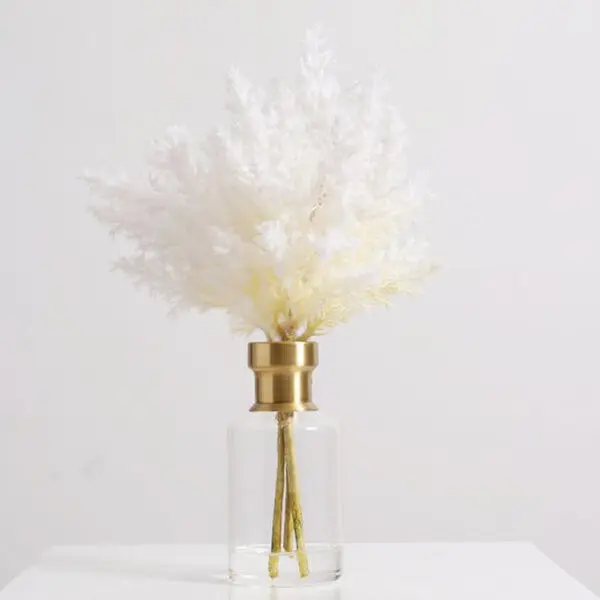 DARBY CREEK TRADING Bleached Pampas Grass Arrangement In Glass Bud Vase - White Set - Short & Tall