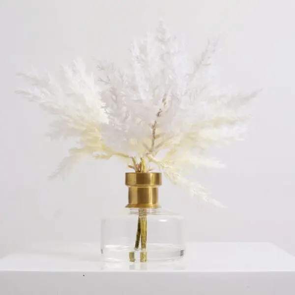 DARBY CREEK TRADING Bleached Pampas Grass Arrangement In Glass Bud Vase - White Short