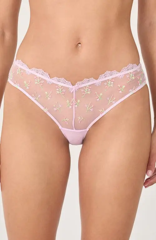 ETAM Reveuse Lila Hipster Panties - Lilas