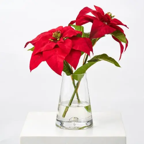 DARBY CREEK TRADING Lifelike Christmas Velvet Poinsettia Blooms - Red