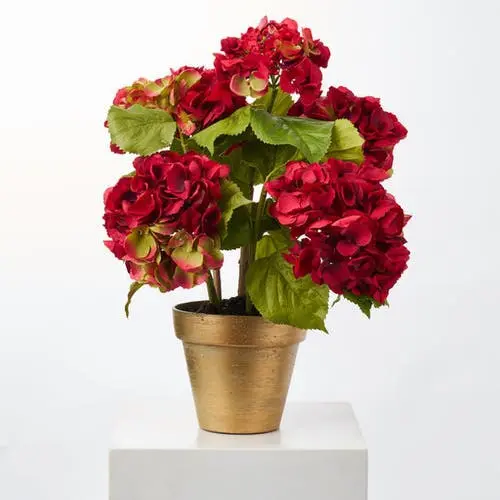 DARBY CREEK TRADING Potted Silk Hydrangea Stems Flowering Multi-bloom Plant - Red