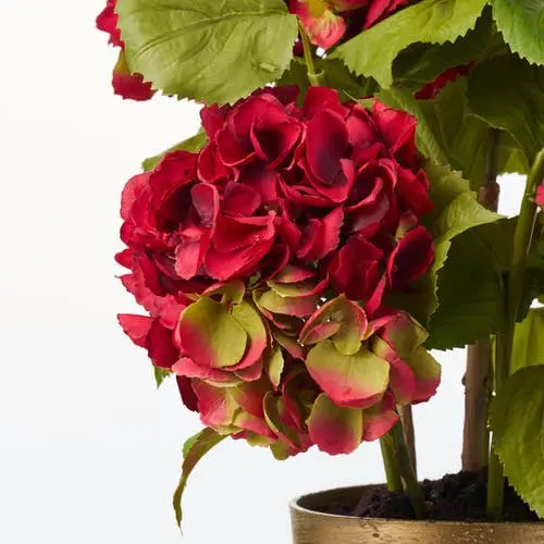 DARBY CREEK TRADING Potted Silk Hydrangea Stems Flowering Multi-bloom Plant