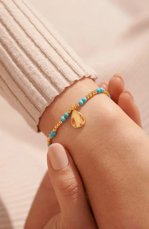 A LITTLES & CO Birthstone Charm Bracelet In Gold-tone - December
