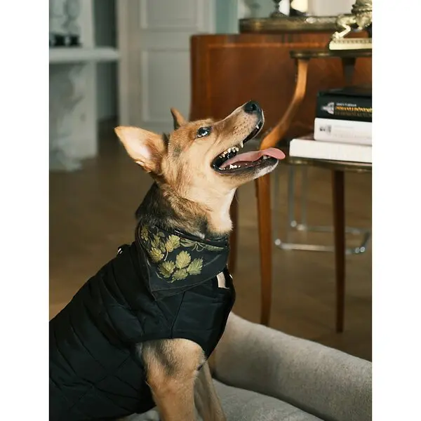 ST.PIA Berry Bff Small Cotton Pet And Human Bandana