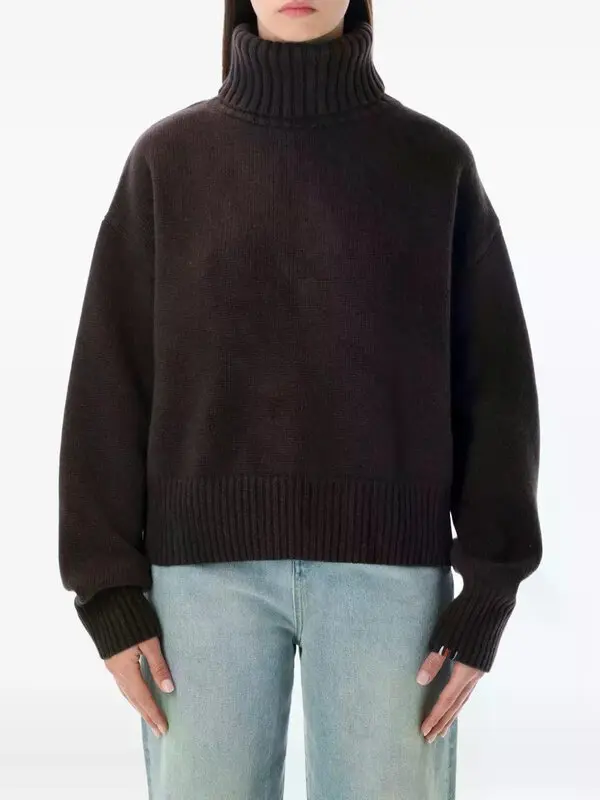 Extreme Cashmere Ribbed Roll-neck Sweater