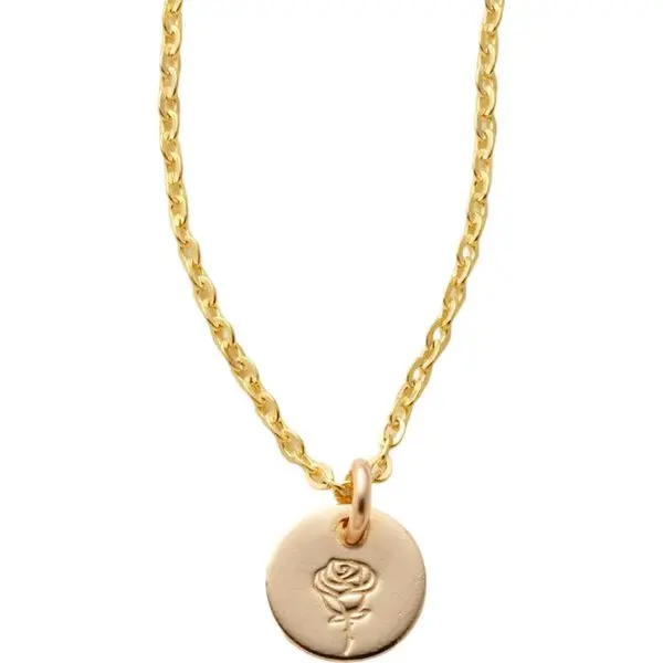 MADE BY MARY June Birth Flower Medallion Necklace - Gold Filled