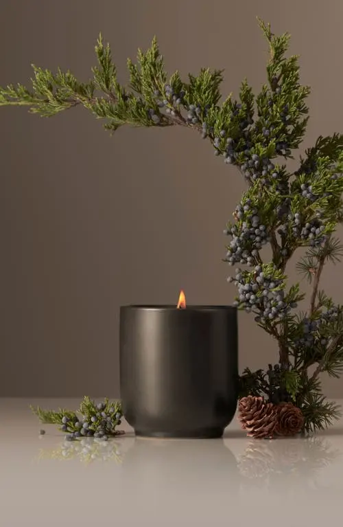 HOMECOURT Balsam Fireplace Scented Candle