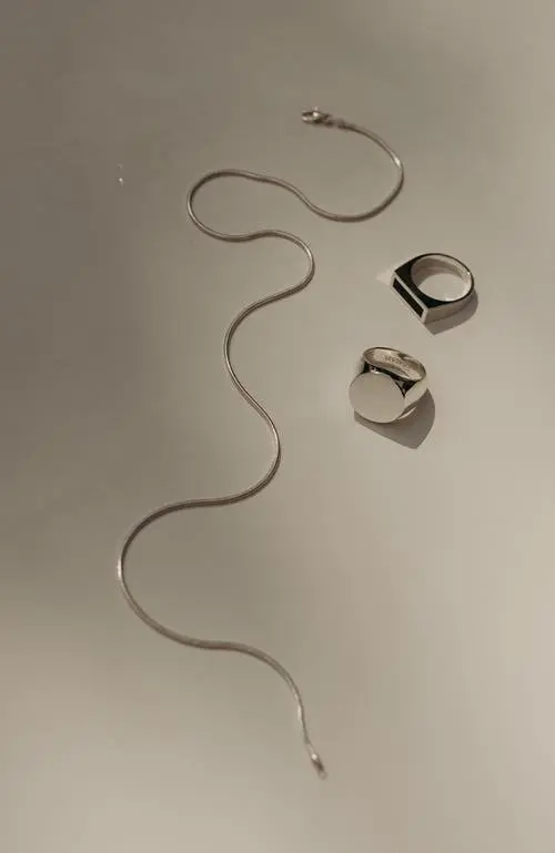 LOUPN Snake Chain Necklace