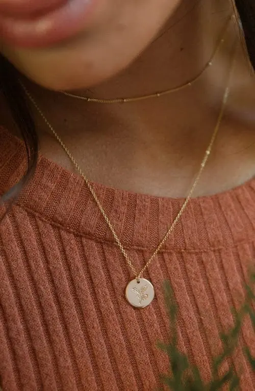 MADE BY MARY December Birth Flower Medallion Necklace - Silver