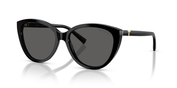 Tiffany & Co. Tf4251 Sunglasses - Noir